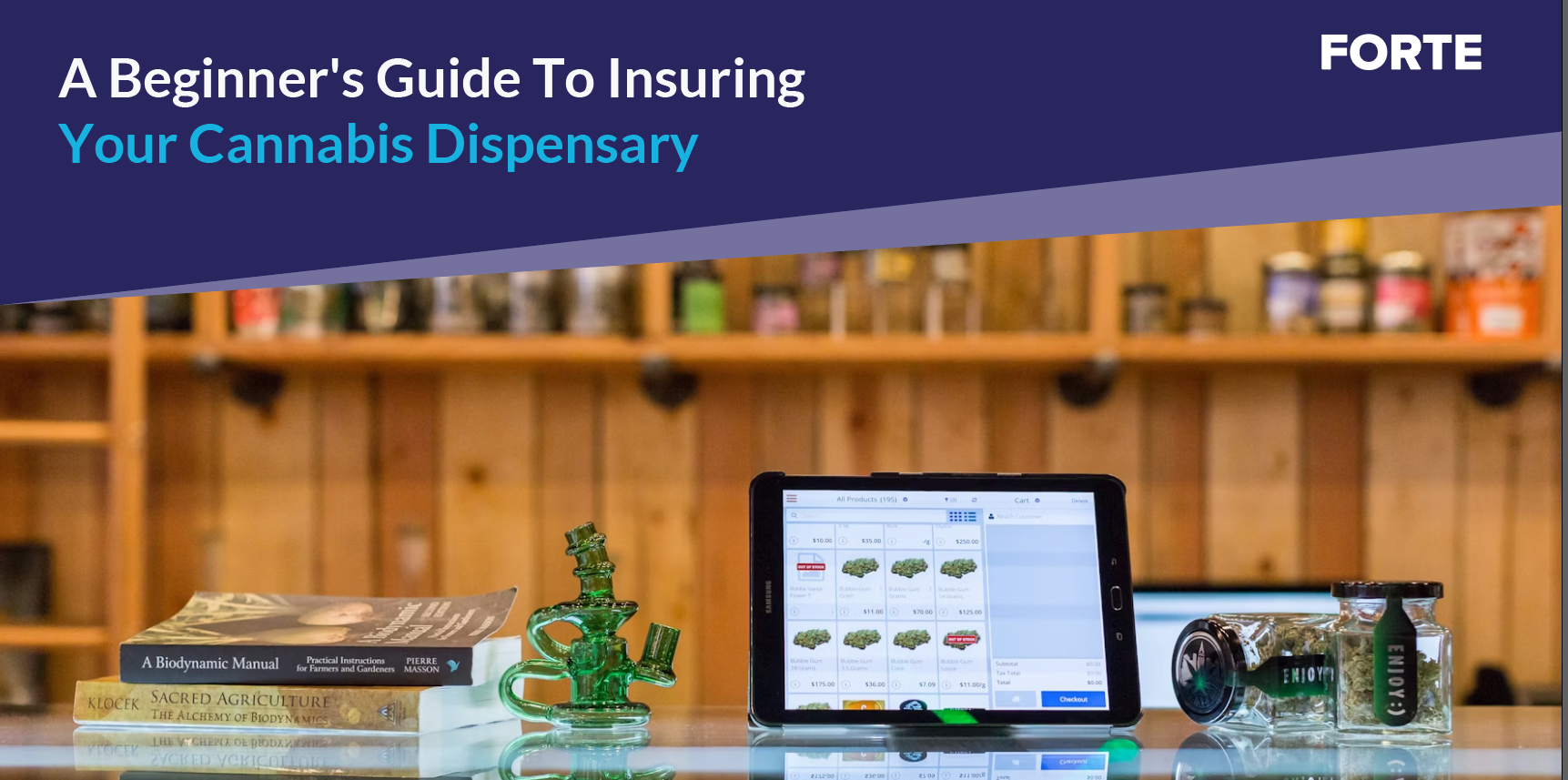 A Beginner's Guide To Insuring Your Cannabis Dispensary - Forte Ops ...